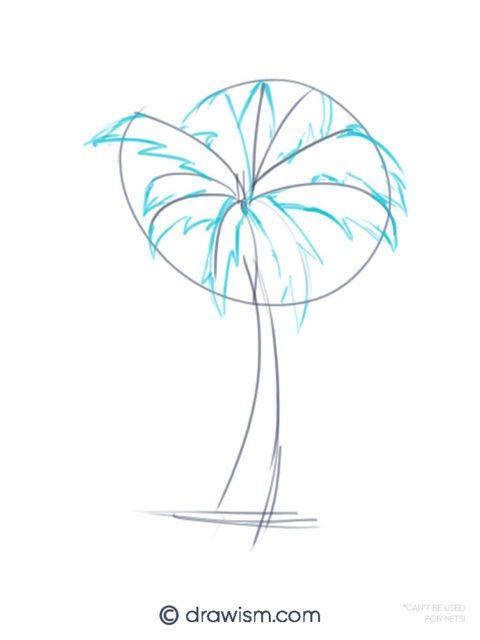 3 Best Palm Tree Drawing Styles with No Art Experience