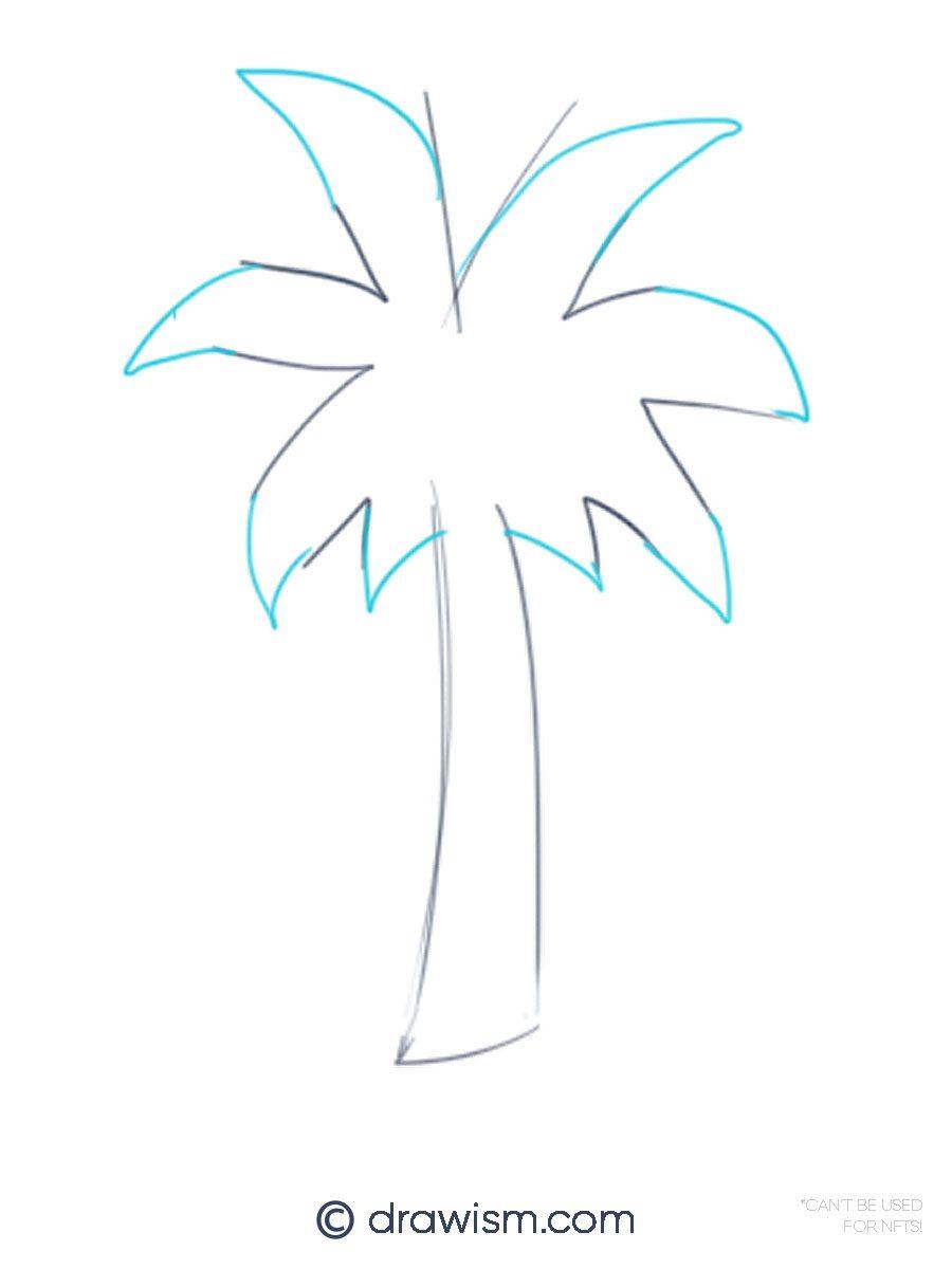 3 Best Palm Tree Drawing Styles with No Art Experience