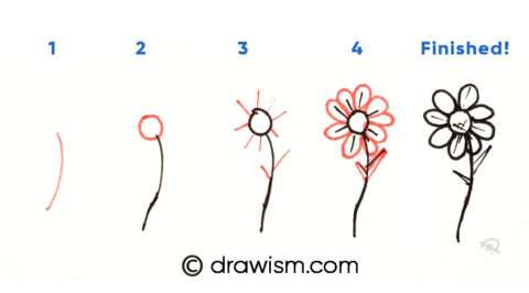 How to Draw Easy Pen Flower Doodles for Beginners
