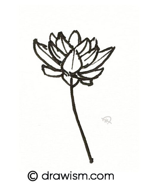 How to Draw Easy Pen Flower Doodles for Beginners