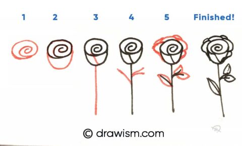 How to Draw Easy Pen Flower Doodles for Beginners
