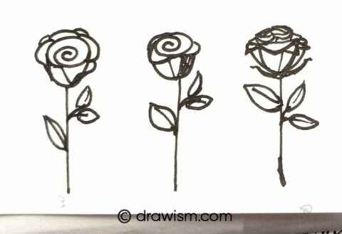How to Draw Easy Pen Flower Doodles for Beginners