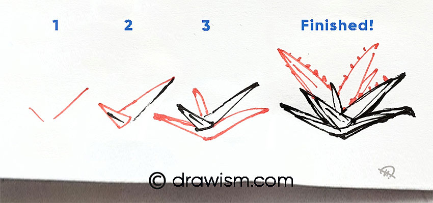 How to Draw Succulent Doodles Easy for Beginners - Drawism Studio