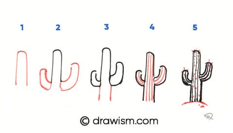 How to Draw Succulent Doodles Easy for Beginners - Drawism Studio