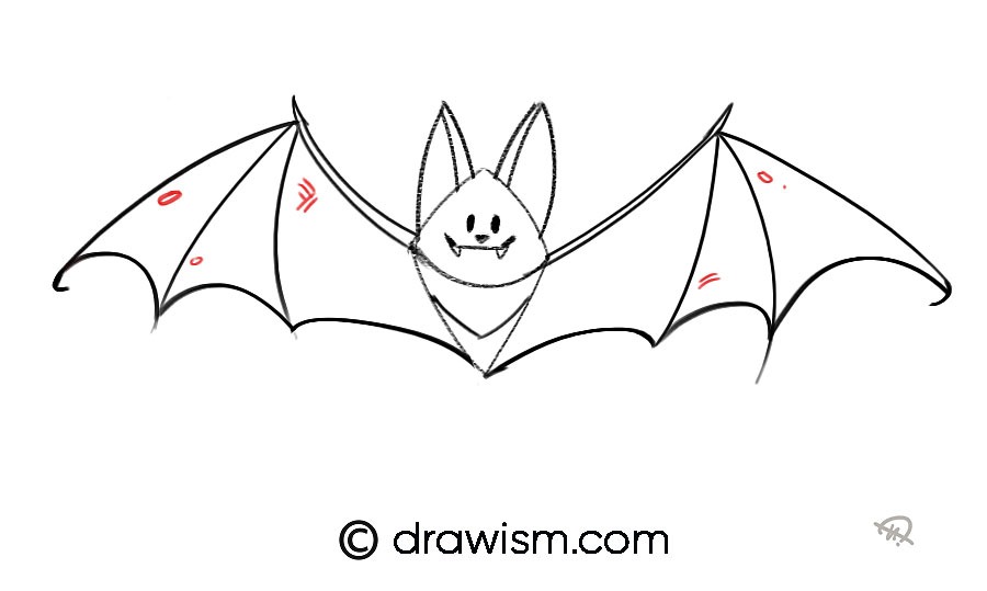 How to Draw a Cute Bat Doodle Easy With Pen